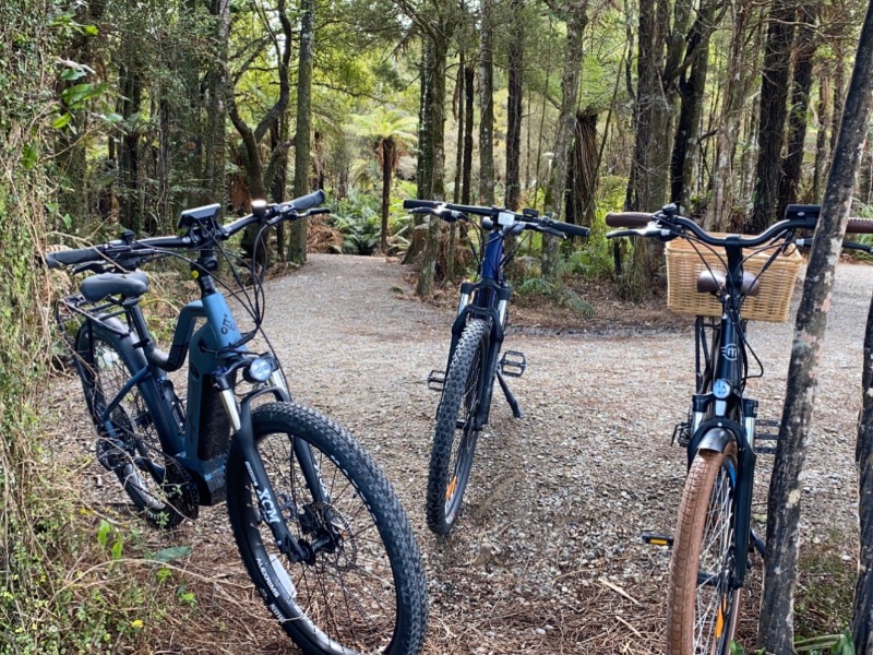 Wander West | New Zealand Awaits